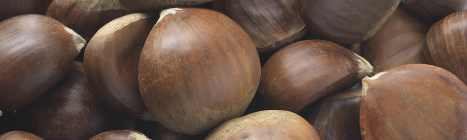 Online Shop | Kentish Cobnuts | Potash Farm