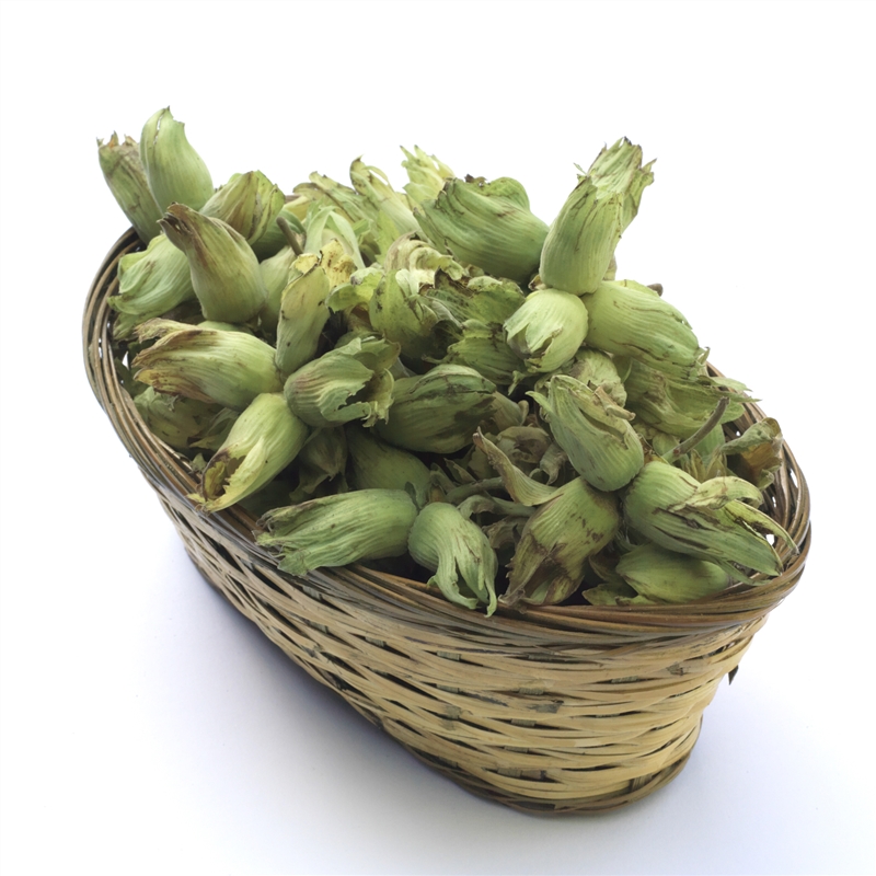 Naturally Grown Green/Golden Kentish Cobnuts | Potash Farm