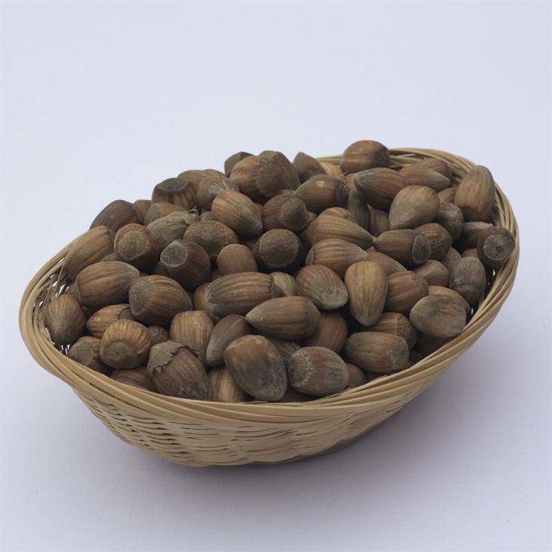 Dehusked Kentish Cobnuts | Potash Farm